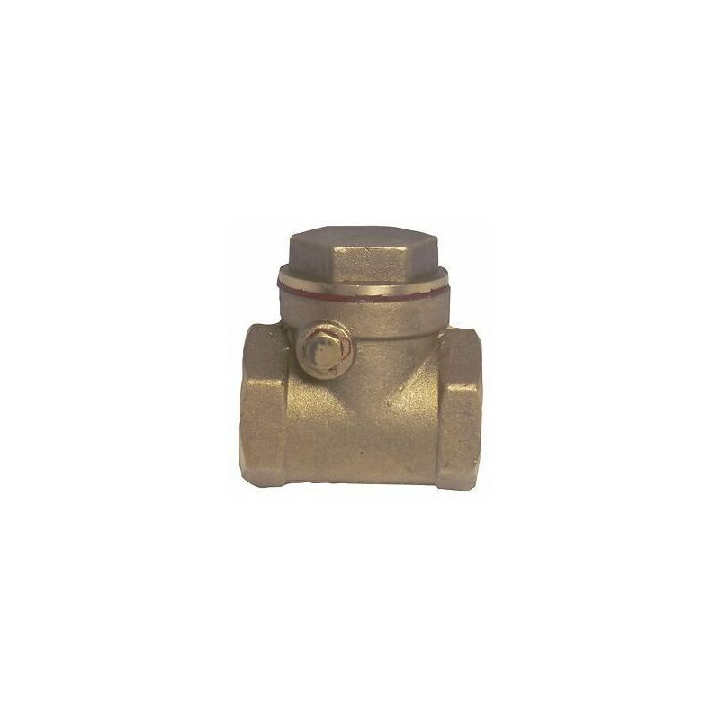 Wiltec - Valvola Di Fondo 1' Valvola Di Non Ritorno Con Filtro ...