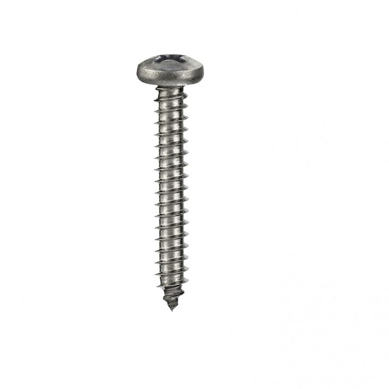 Viti Autofilettanti Testa Cilindrica Inox 3,5 X 25 - 16 Pz. | MASIDEF | US